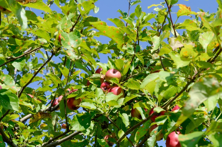 2026 SEED Grants Cycle Now Open | Economic Development | City of ...